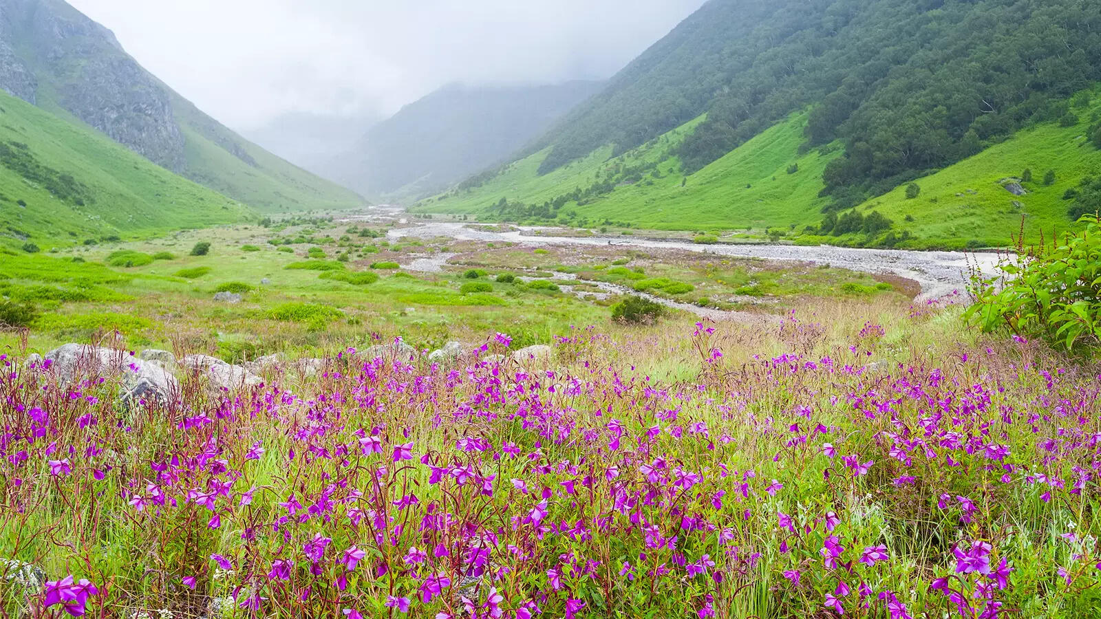 Madhya Madarihat, Alipurduar: Map, Property Rates, Projects, Photos ...