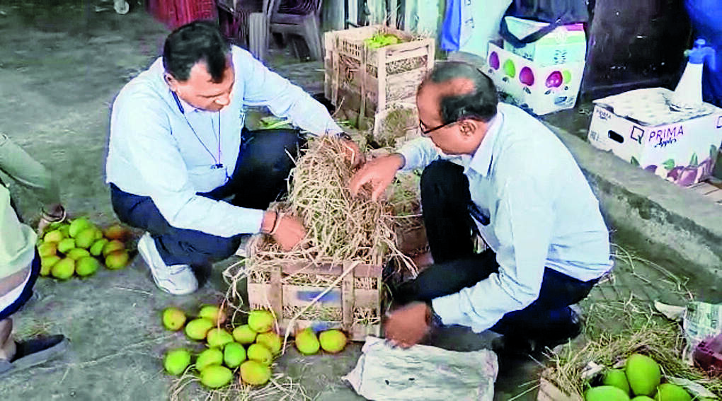 Kathor, Surat: Map, Property Rates, Projects, Photos, Reviews, Info