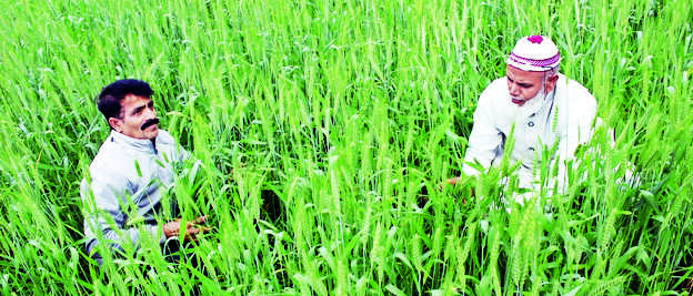 S N Gollapalem, Machilipatnam: Map, Property Rates, Projects, Photos ...
