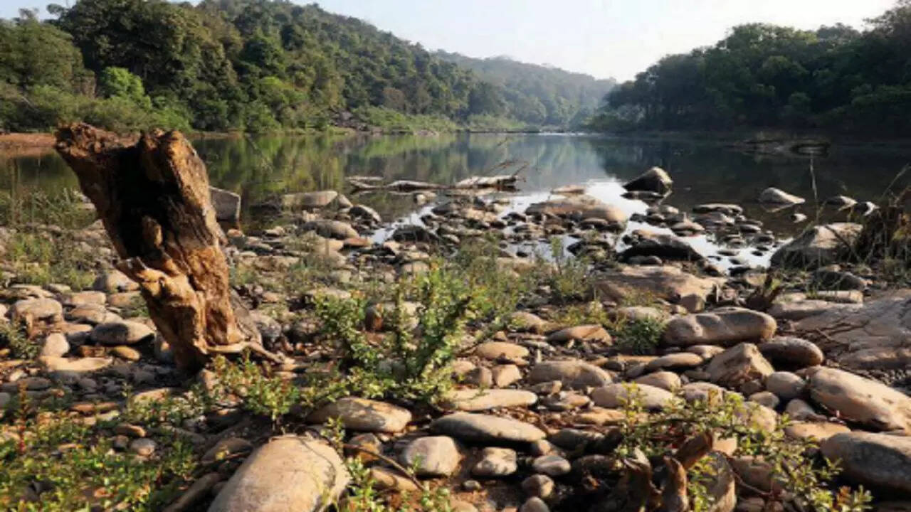 Bicholim, Goa: Map, Property Rates, Projects, Photos, Reviews, Info