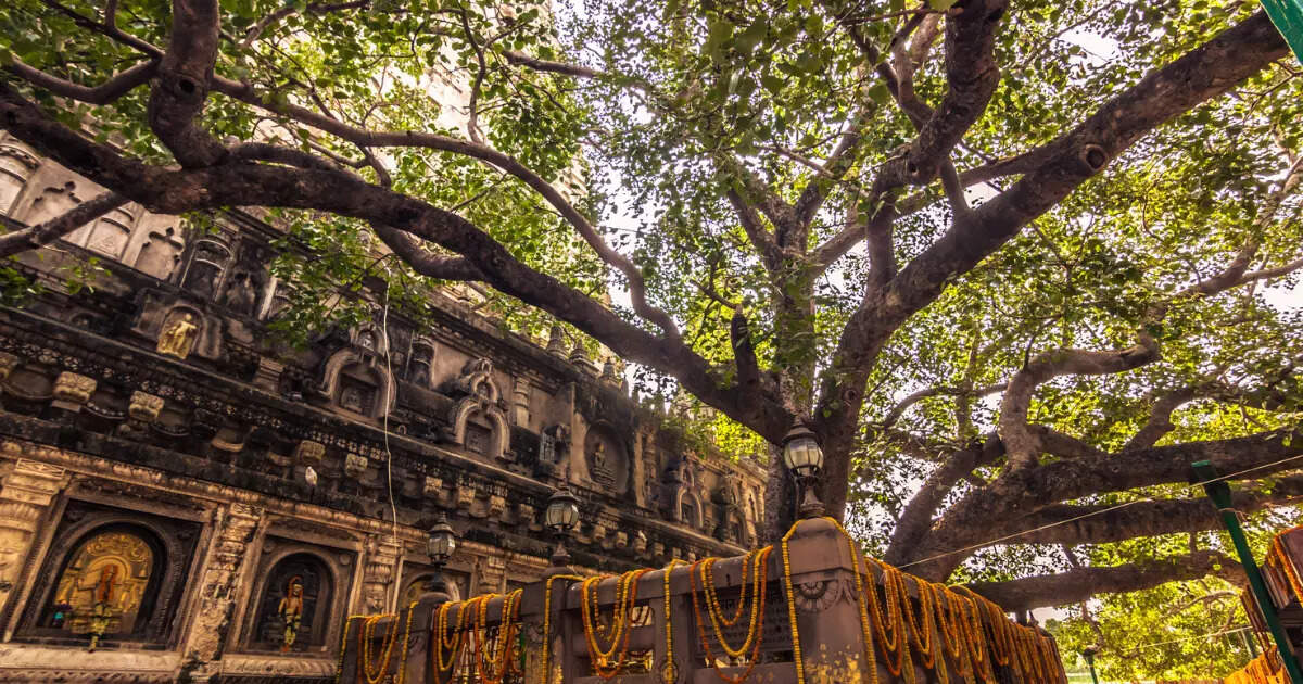 Iconic temples in India to visit once in your lifetime | Times of India