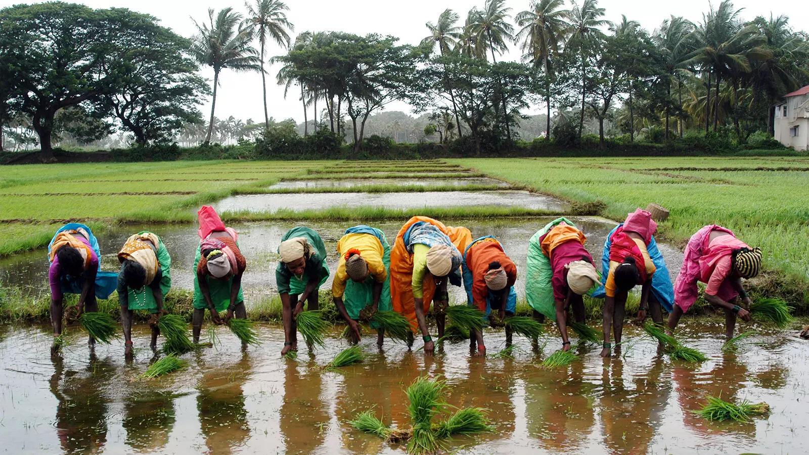 Jalesar road, Firozabad: Map, Property Rates, Projects, Photos, Reviews ...