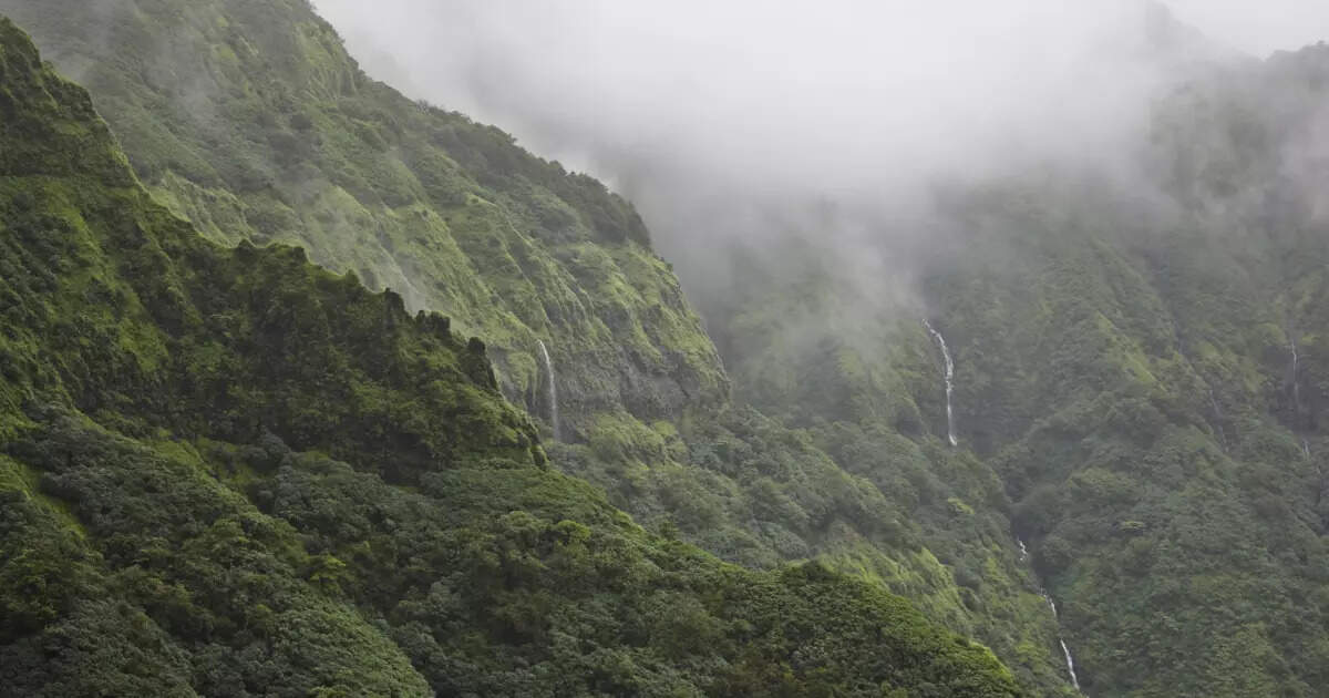 Wonderful getaways in Western Ghats | Times of India