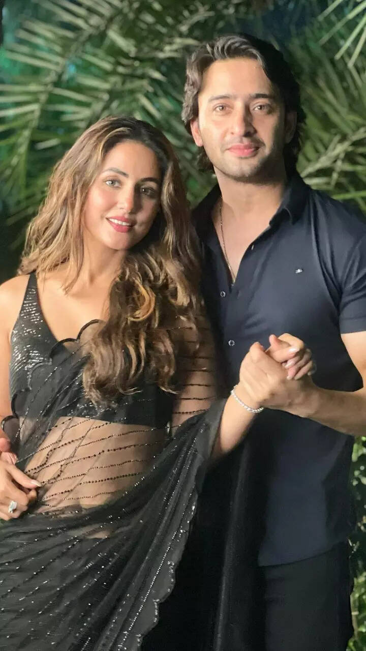 Shaheer Sheikh-Hina Khan are BFF goals | Zoom TV