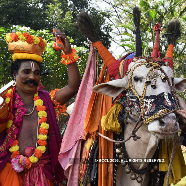 Andhra Sankranti Festival In