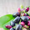 Black Plums Health Benefits