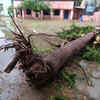 Chennai Rains Updates: Rail traffic affected after heavy rain lashes ...