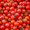 Fretting about costly tomatoes? This tomato seed variety sells for INR ...
