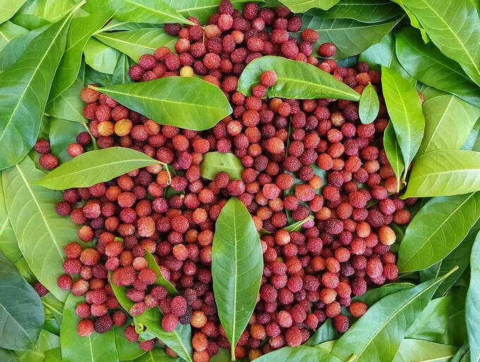 Did you know, PM Modi is a fan of this amazing Pahadi fruit? | The ...