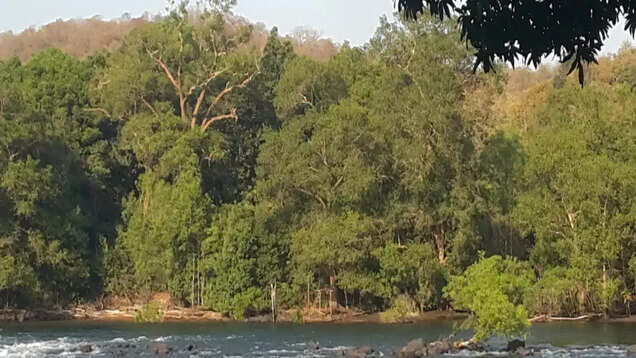 What’s inside Karnataka’s Kali Tiger Reserve?, Karnataka - TimesTravel