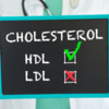 Understanding Cholesterol Numbers: What does total cholesterol, LDL ...
