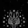 What is the spirit animal for the zodiac sign cancer 60 photos ...