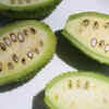 Kakoda: This local vegetable is a store house of nutrition
