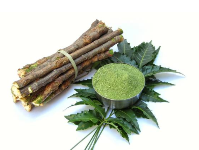 Neem Leaves: Traditional wisdom: How having neem leaves daily can keep ...