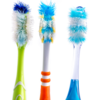 Toothbrush Hygiene: Why you should NEVER leave your toothbrush in the ...