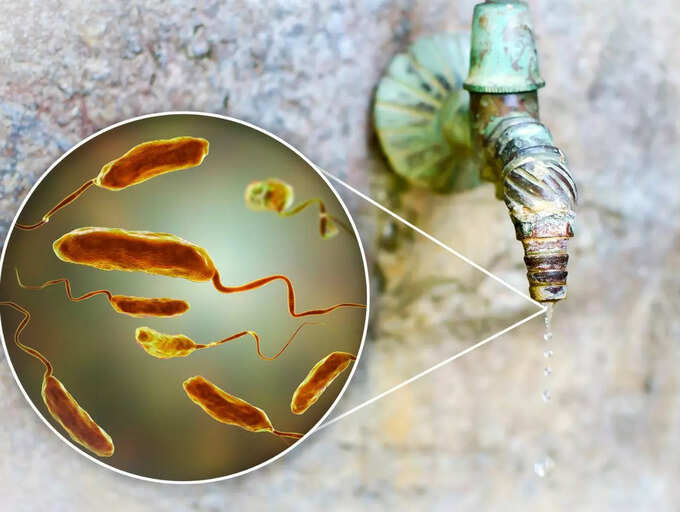 How does contaminated water affect the digestive system? | The Times of ...