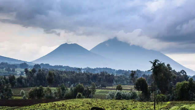 Rwanda: Into the world of mountain gorillas at Volcanoes National Park ...