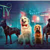 'Garudan’ to ‘Dhoomam’: New OTT releases to binge this weekend!
