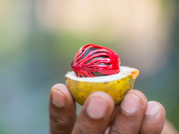 Jaiphal benefits: 5 solid reasons you should include nutmeg in your ...