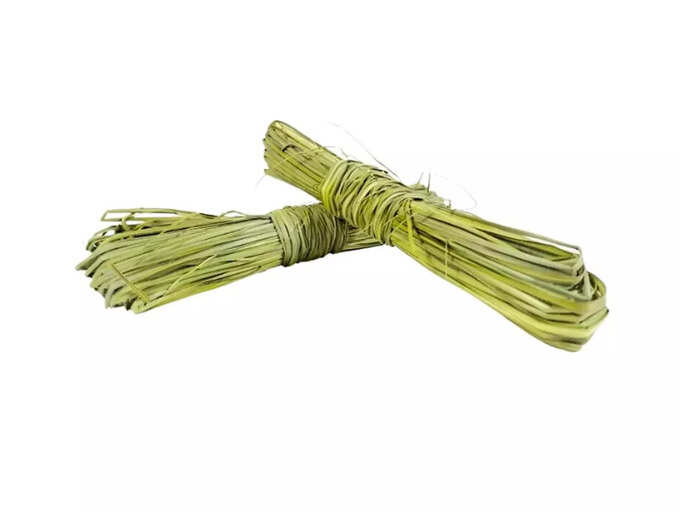 Why Kusha or Durba grass is considered so sacred? | The Times of India