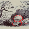 Only those with sharp observation can spot all the 10 animals hidden in ...