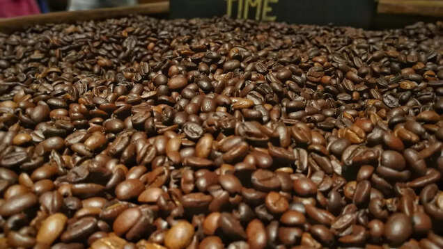 Karnataka's Madikeri for nature and wildlife enthusiasts | TimesTravel