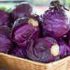 Purple Cabbage Benefits: 7 benefits of purple cabbage no one told you about