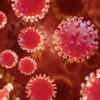 What are the zombie viruses scientists are worried about? Can they ...