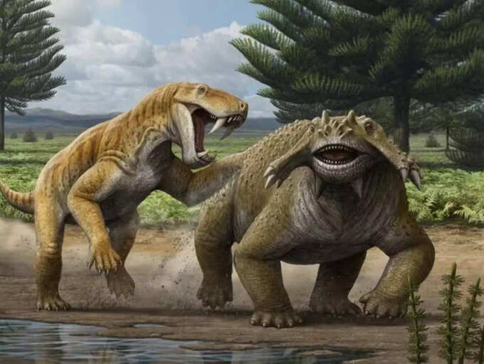 7 animals that lived before the dinosaurs | The Times of India