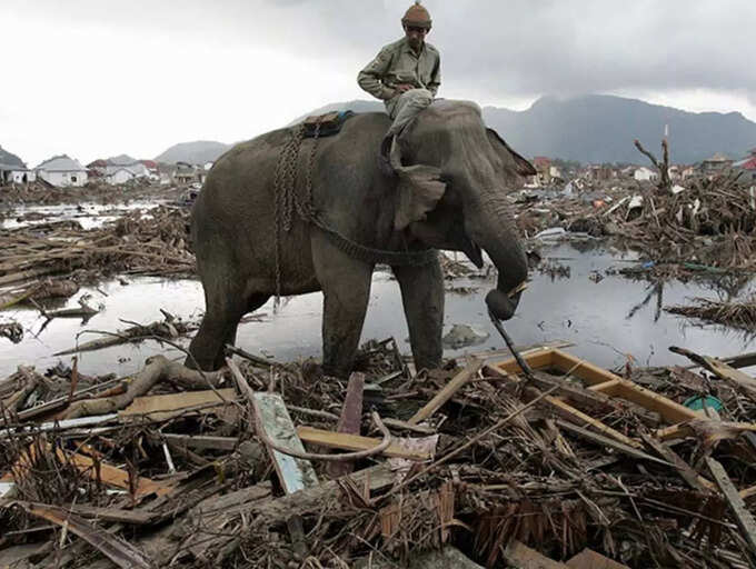 10 deadliest natural disasters that ever happened | The Times of India