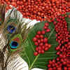 Why is Manjadikuru aka red seeds offered to Guruvayoorappan?
