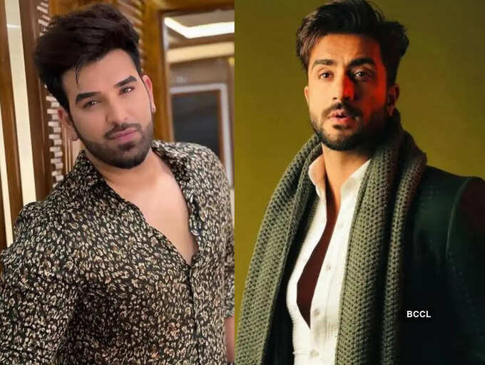 From Paras Chhabra to Aly Goni: Contestant who shot to popularity after ...