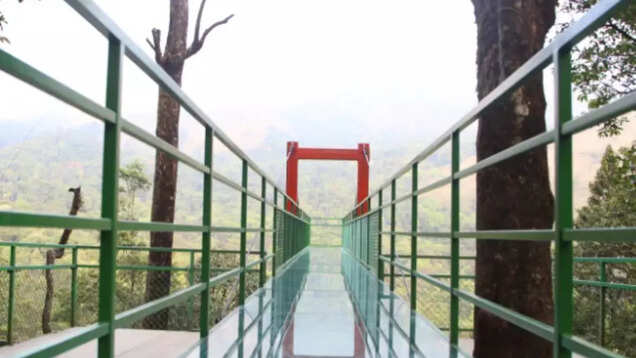 Glass bridges in India worth travelling for | TimesTravel