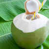 Raw coconut vs. dry coconut: Which is healthier?