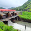 Wayanad Landslides, Kerala landslide News Live Updates: 185 dead, 225 ...