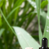 Lemongrass oil for hair store
