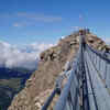 Top 10 most thrilling suspension bridges: From Peak Walk to The ...