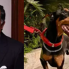 Paws and principles: Ratan Tata’s love for dogs in pics