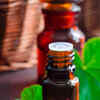 Geranium oil for hair store