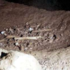 In pics: Grotte de Cussac, a French ancient cave where humans lived ...