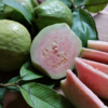 8 science-backed health benefits of guava