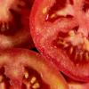 Raw Tomato Benefits: 10 health benefits of eating raw tomato