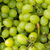Grapes Types: 10 Types of grapes from across the world