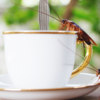 Crushed cockroaches in coffee? What the FDA really approves and the ...