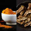 Turmeric vs Black Turmeric: Which is better?