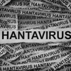Hantavirus: As WHO shares the symptoms of the infected patients, Delhi ...