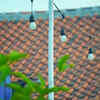 How to stop birds from pooping on your patio: 7 Practical ways to keep ...