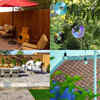 How to stop birds from pooping on your patio: 7 Practical ways to keep ...