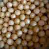 8 GI-tagged Bengali sweets that are a must-try