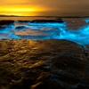 From Andaman to Goa: 6 places in India where travellers can witness the ...